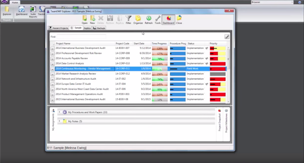 TeamMate+ AM Software - 2020 Reviews, Pricing & Demo